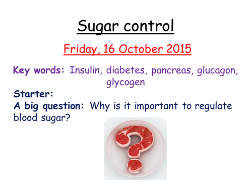 Sugar control- homeostasis | Teaching Resources