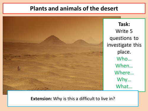 Plants and animals of the desert | Teaching Resources