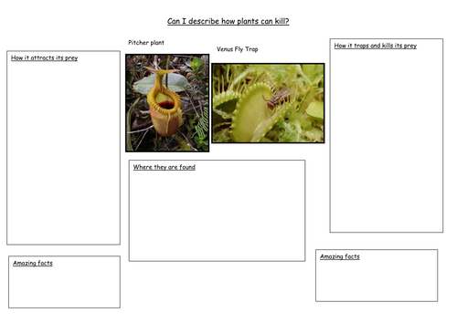 4 Rainforest and Plants Comprehension Texts and Questions by jmcmeekin ...