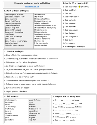 Hobbies and Opinions - French by lisivonaster - UK Teaching Resources - TES