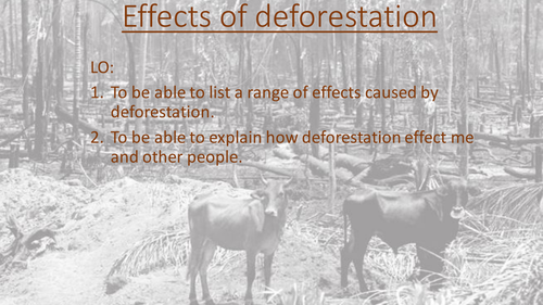Effects of Deforestation Venn Diagram by lrabbetts - UK Teaching ...