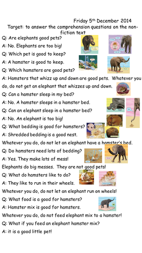 Pet Non Fiction Comprehension | Teaching Resources