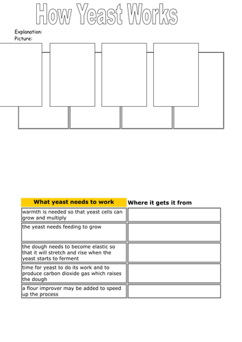 How yeast works worksheet | Teaching Resources