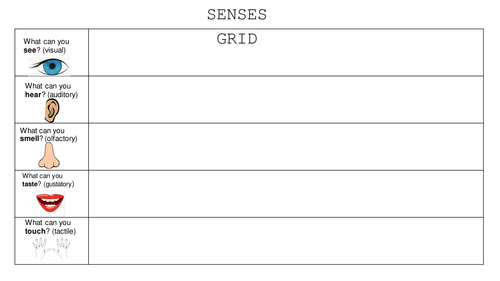 Senses Grid | Teaching Resources