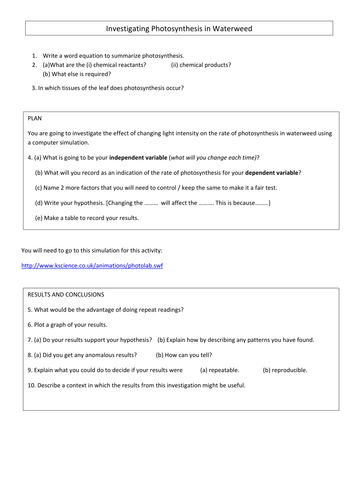 Photosynthesis Limiting Factors Simulation | Teaching Resources