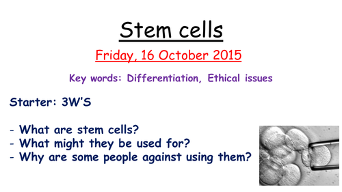 Stem cells | Teaching Resources