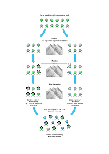 Speciation by Geographical Isolation Cut and Stick | Teaching Resources