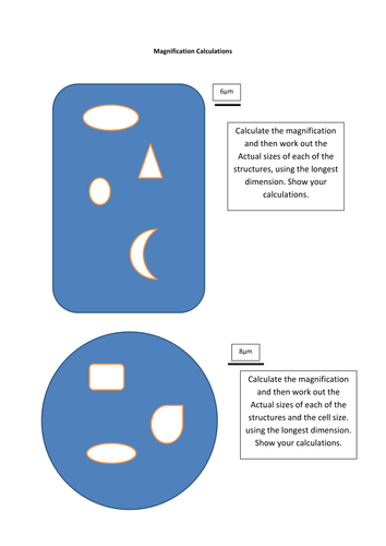 Calculation of cell magnification (OCR AS) by elevateeducation.co.uk ...