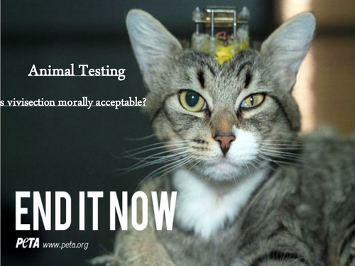 Vivisection | Teaching Resources