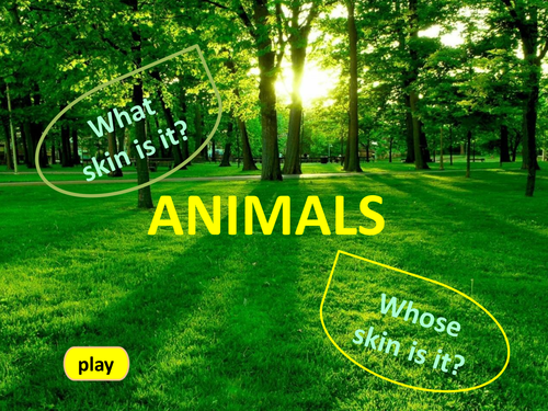 Game 'Animals' | Teaching Resources