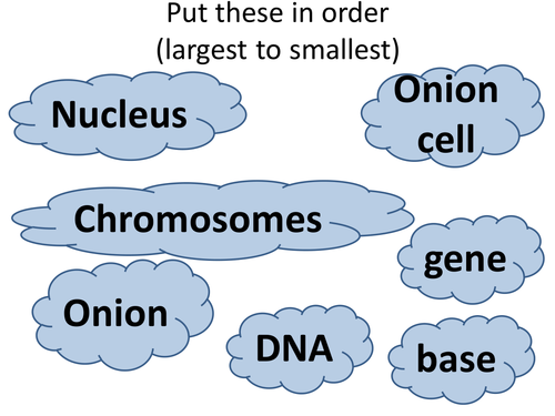 OCR Gateway Science B3 DNA | Teaching Resources OCR Gateway Science B3 DNA | Teaching Resources