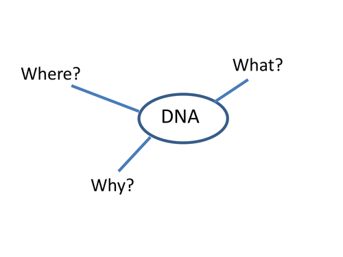 OCR Gateway Science B3 DNA | Teaching Resources OCR Gateway Science B3 DNA | Teaching Resources
