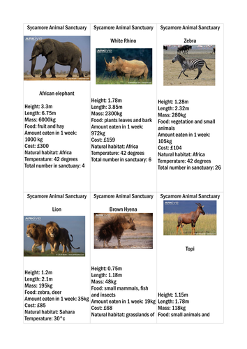Place value animal investigation with questions | Teaching Resources
