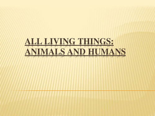 Living things, animals and humans | Teaching Resources