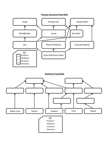 Who Eats Who? | Teaching Resources