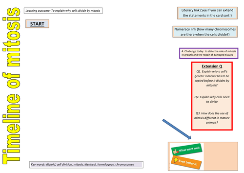 Mitosis and cell division | Teaching Resources