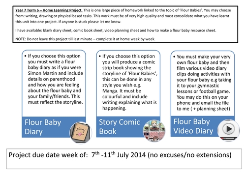 Flour Babies - Anne Fine. Homework pack. | Teaching Resources