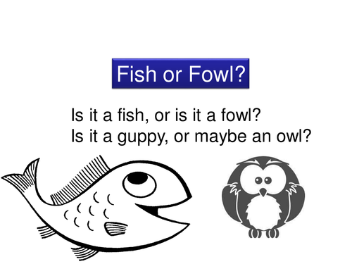Fish or Fowl | Teaching Resources