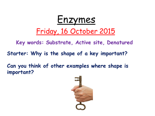 Introduction to enzymes | Teaching Resources
