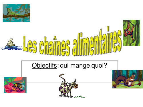 Food chains (Les chaines alimentaires) | Teaching Resources