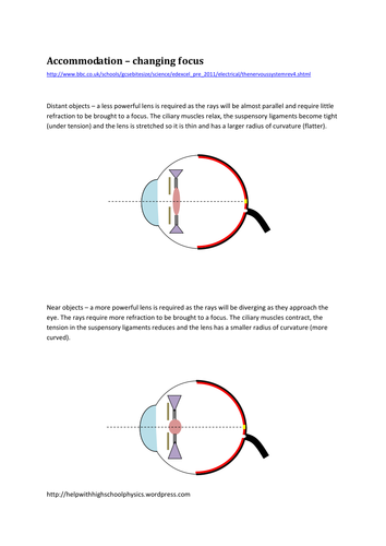 The structure of the eye, Iris reflex and .. | Teaching Resources