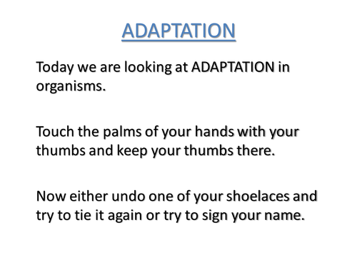 Adaptation | Teaching Resources