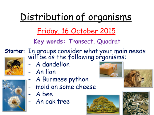 B2 Organisms and the environment | Teaching Resources