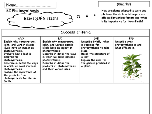 B2 Photosynthesis assessment | Teaching Resources