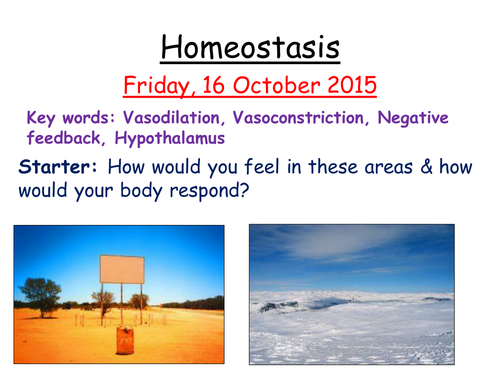 B1 AQA Homeostasis | Teaching Resources B1 AQA Homeostasis | Teaching Resources