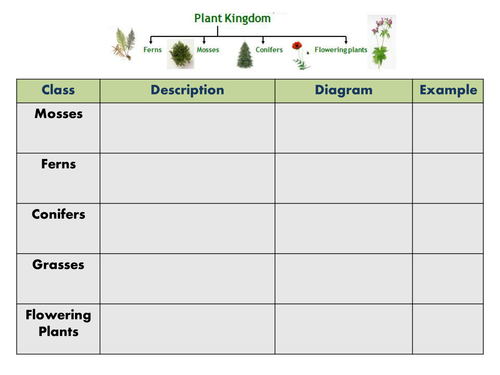 Plant Classification and Habitats | Teaching Resources