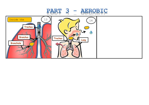 Respiration Storyboard - pupils do the work! | Teaching Resources