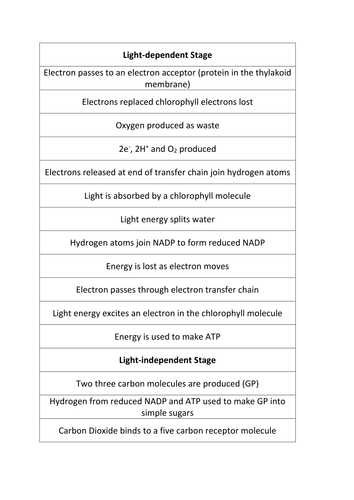 Card Sort - Stages of Photosynthesis | Teaching Resources