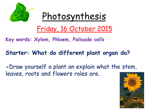 Introduction to photosynthesis | Teaching Resources