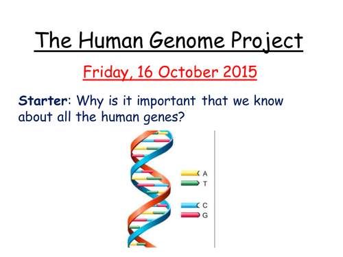 Human genome project | Teaching Resources