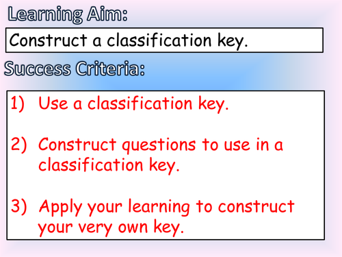 Classification Keys (Low ability) | Teaching Resources