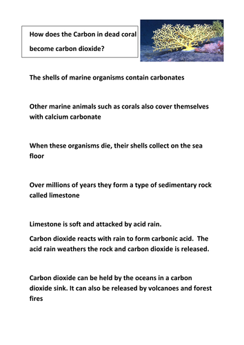 Carbon cycle | Teaching Resources