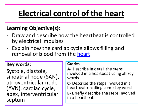 Cardiovascular system | Teaching Resources