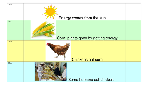Food chain activity sheet | Teaching Resources