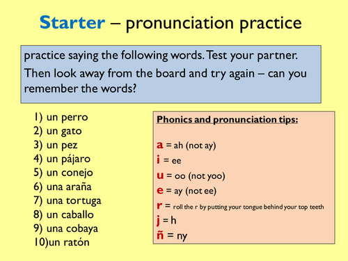 Animals | Teaching Resources