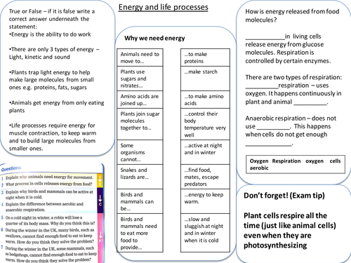 AQA energy and life processes for lower ability | Teaching Resources