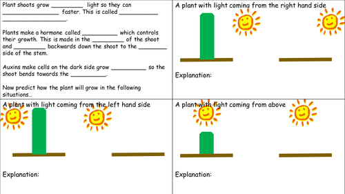 Phototropism Experiments worksheet KS4 KS5 by pand - Teaching Resources ...
