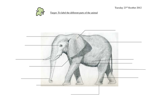 Labeling an Elephant | Teaching Resources