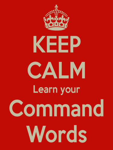 Command Words display | Teaching Resources Command Words display | Teaching Resources