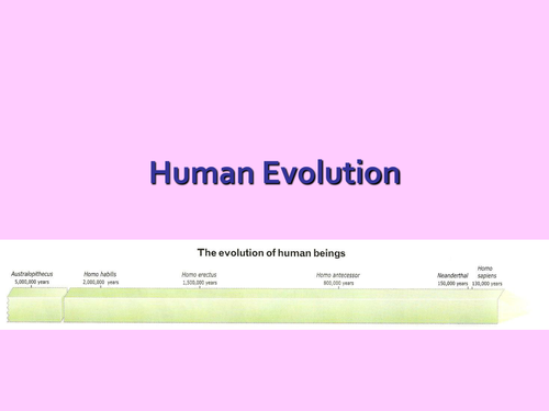 Human evolution | Teaching Resources Human evolution | Teaching Resources