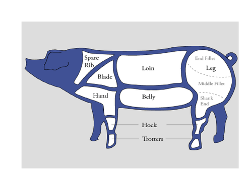 Marvelous Meat! | Teaching Resources
