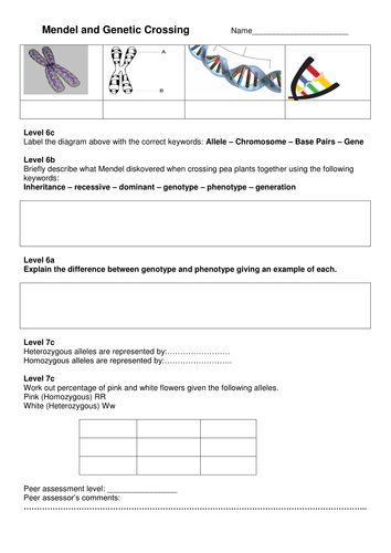 Mendel & Genetic Crossing | Teaching Resources