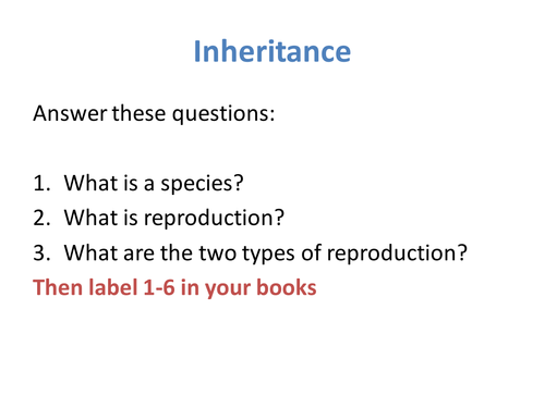 B1.6.1 Inheritance | Teaching Resources