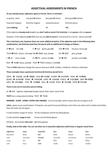 adjective agreements in French | Teaching Resources