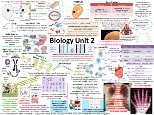 B2 AQA Biology Revision Posters (new spec) | Teaching Resources B2 AQA Biology Revision Posters (new spec) | Teaching Resources