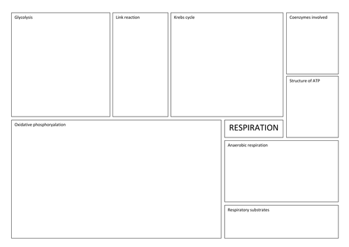 Respiration revision sheet | Teaching Resources